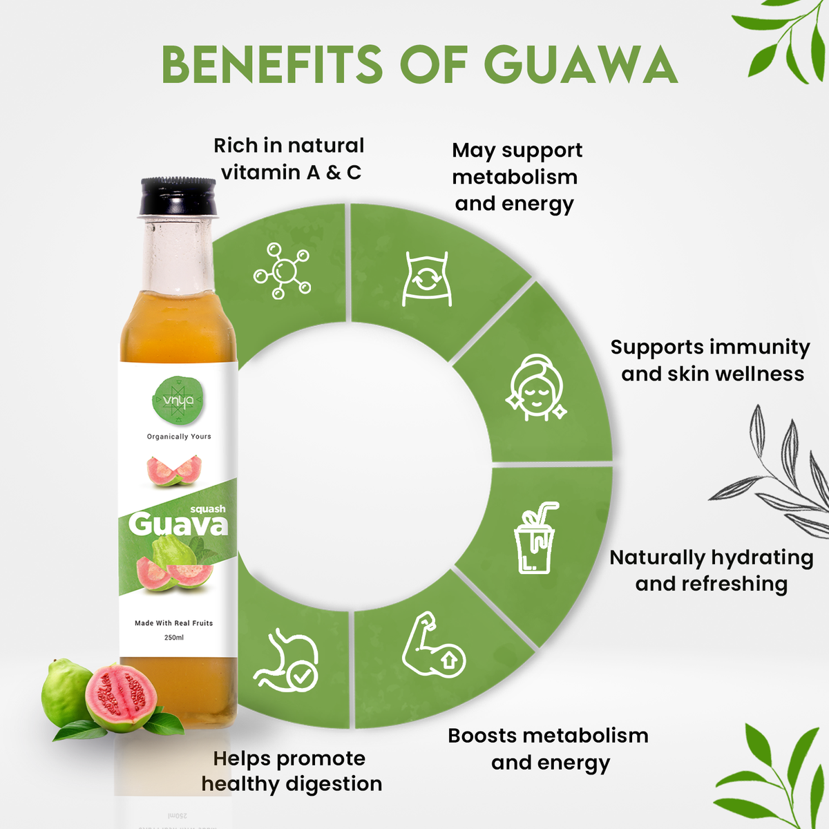GUAVA SQUASH – Vnya, Organically Yours
