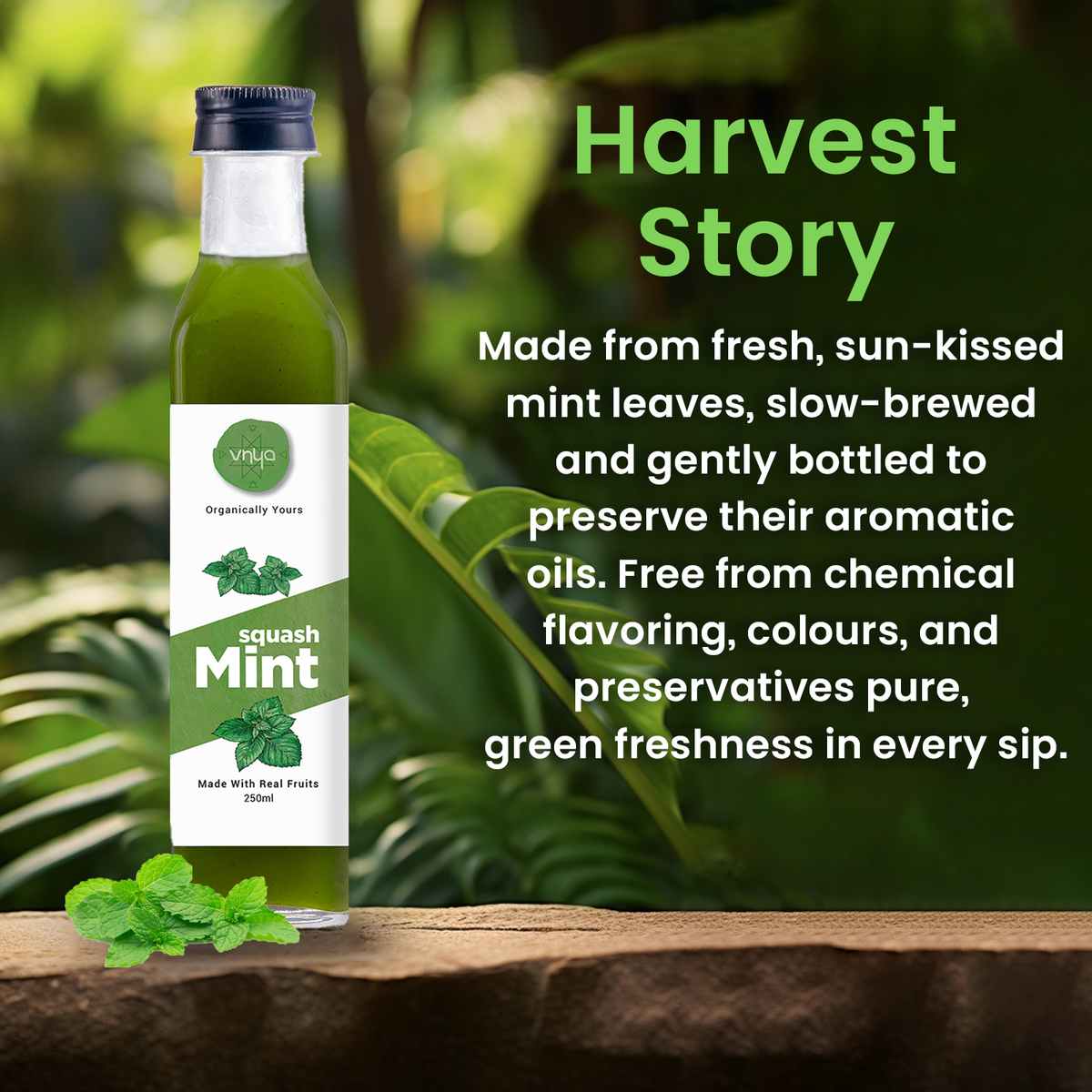MINT SQUASH – Vnya, Organically Yours