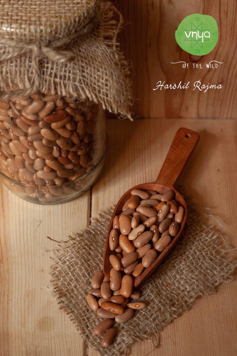 RAJMA HARSHIL – Vnya, Organically Yours